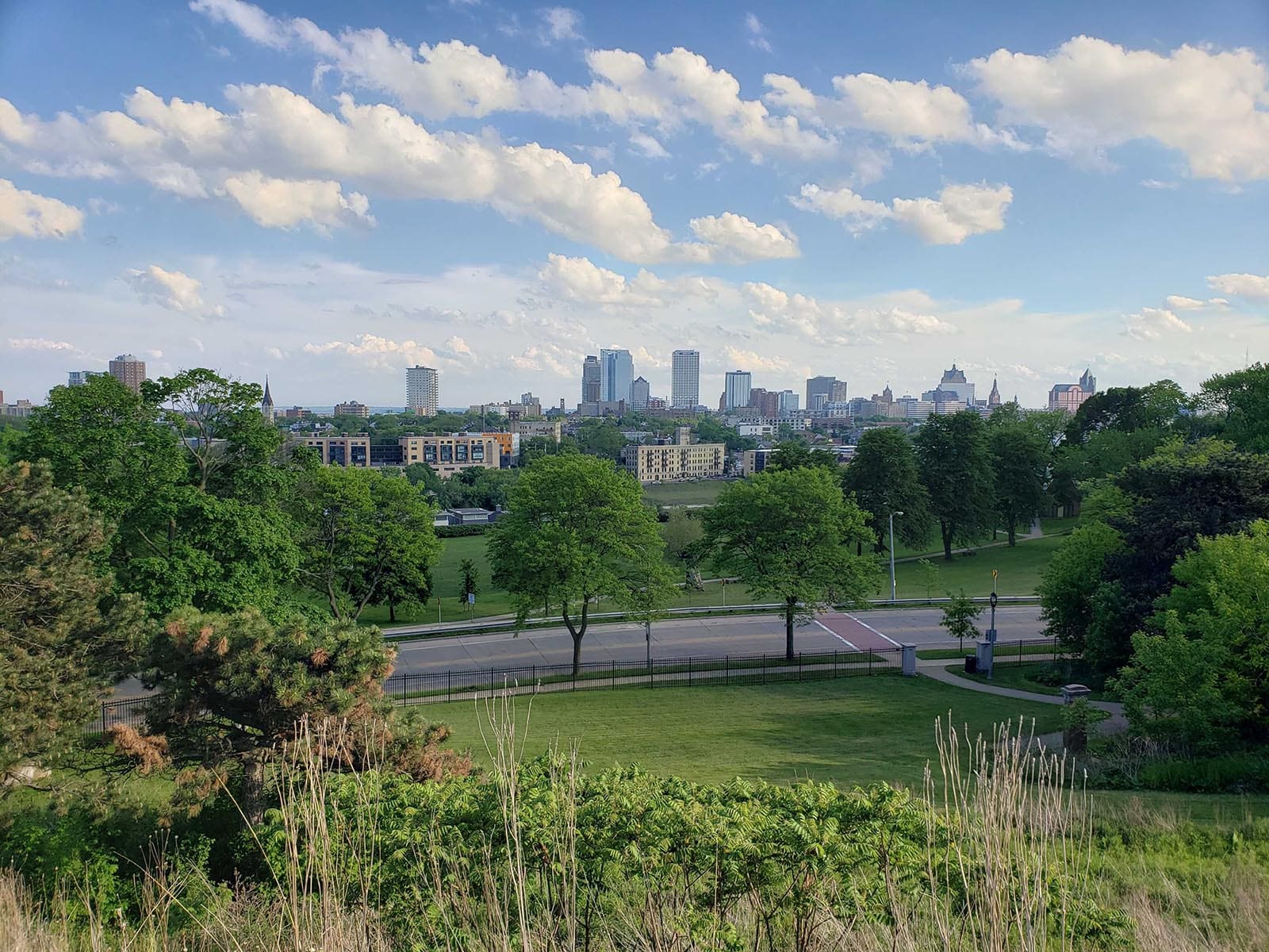 Urban Reforestation and Wetland Restoration Program: Assessing the ...